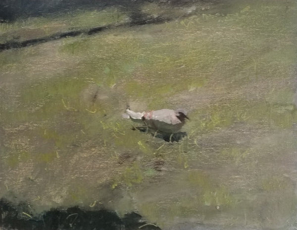 ESTÍO – Tarquinia